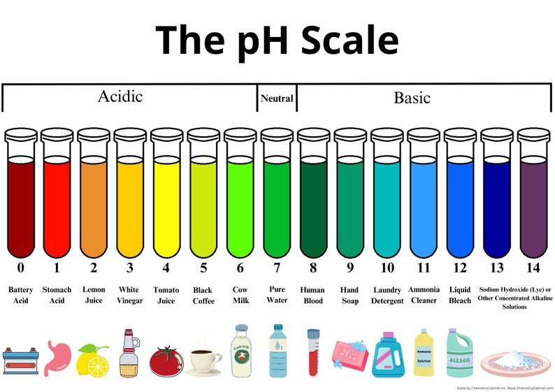 Colorful Ph Scale Chart Print | Chemistry Classroom | Acid Alkaline Ph ...
