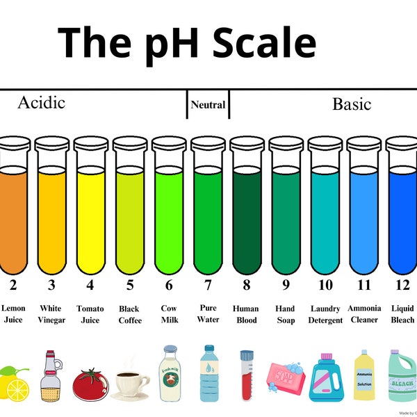 Alkaline Water Chart - Etsy