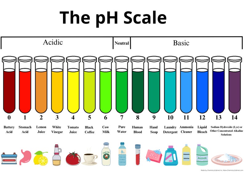 Ph Scale Chart Print | PDF Download | Chemistry for Classroom | Acid ...