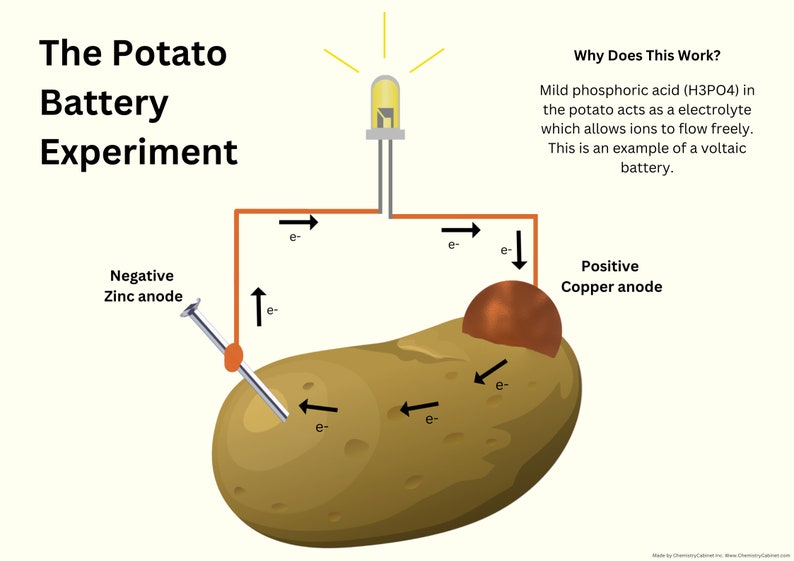 Potato Battery Experiment | PDF Download | Chemistry for Classroom ...