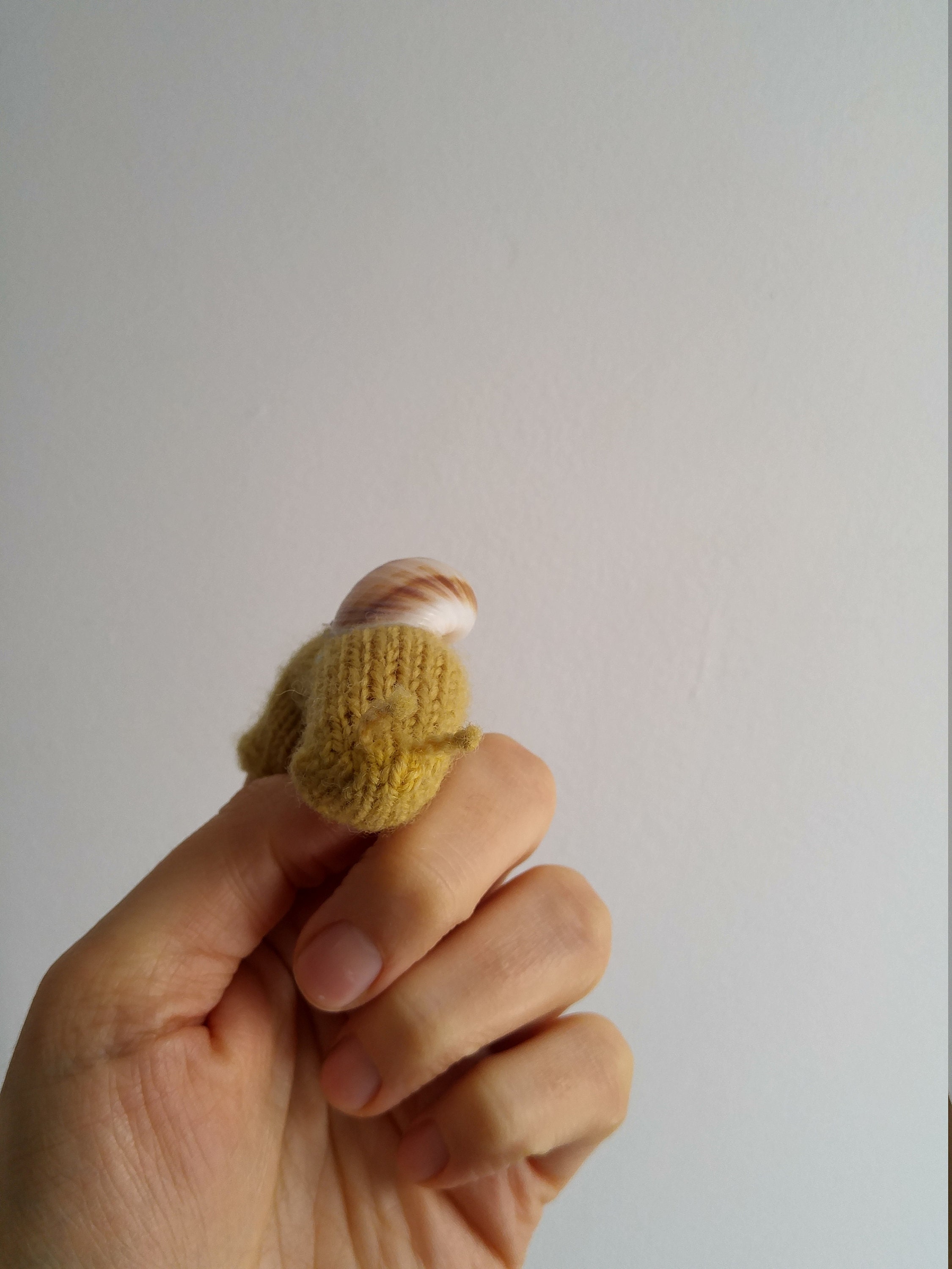 Snail Finger Puppet, tiny House - Etsy New Zealand