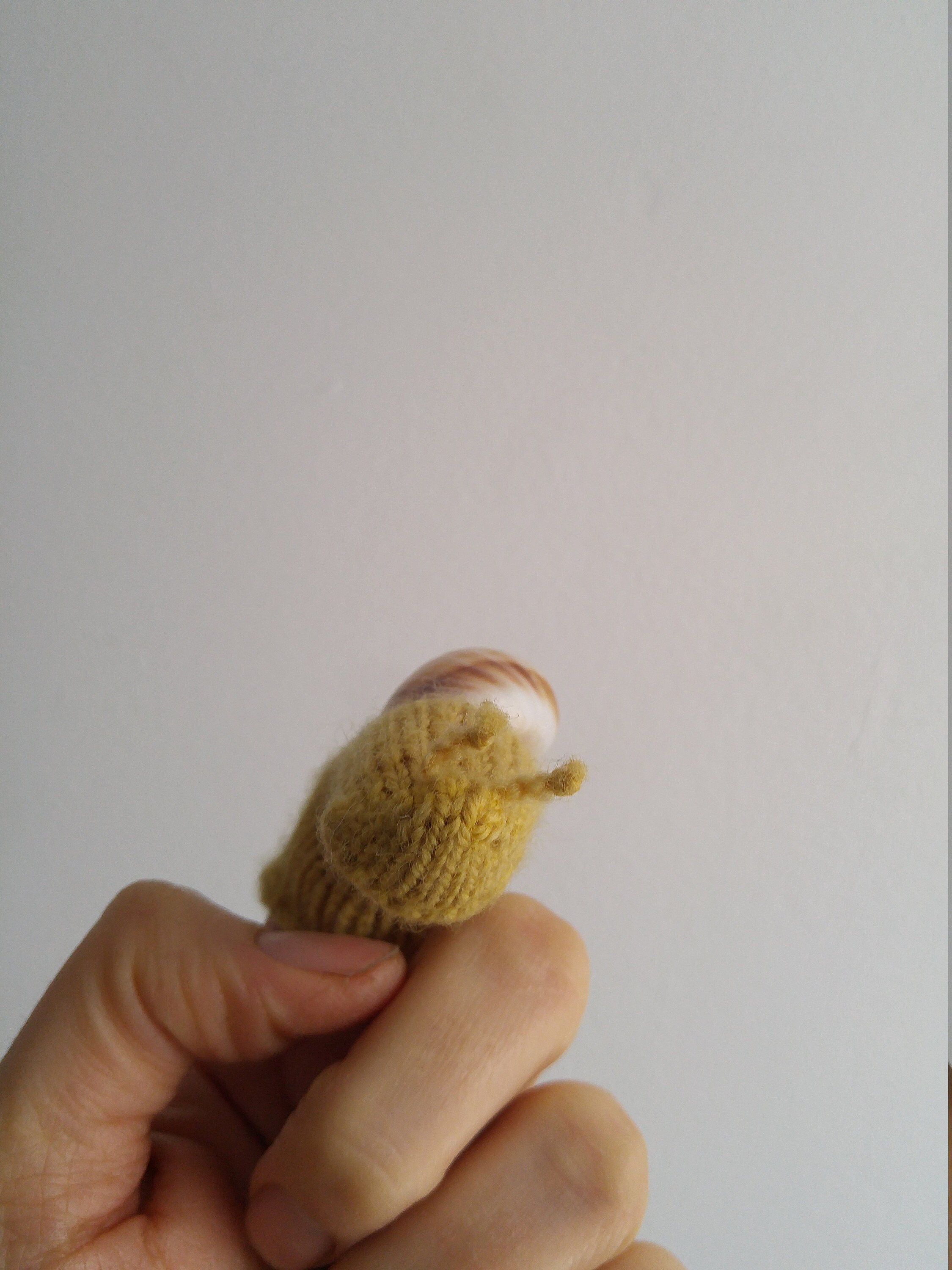Snail Finger Puppet, tiny House - Etsy New Zealand