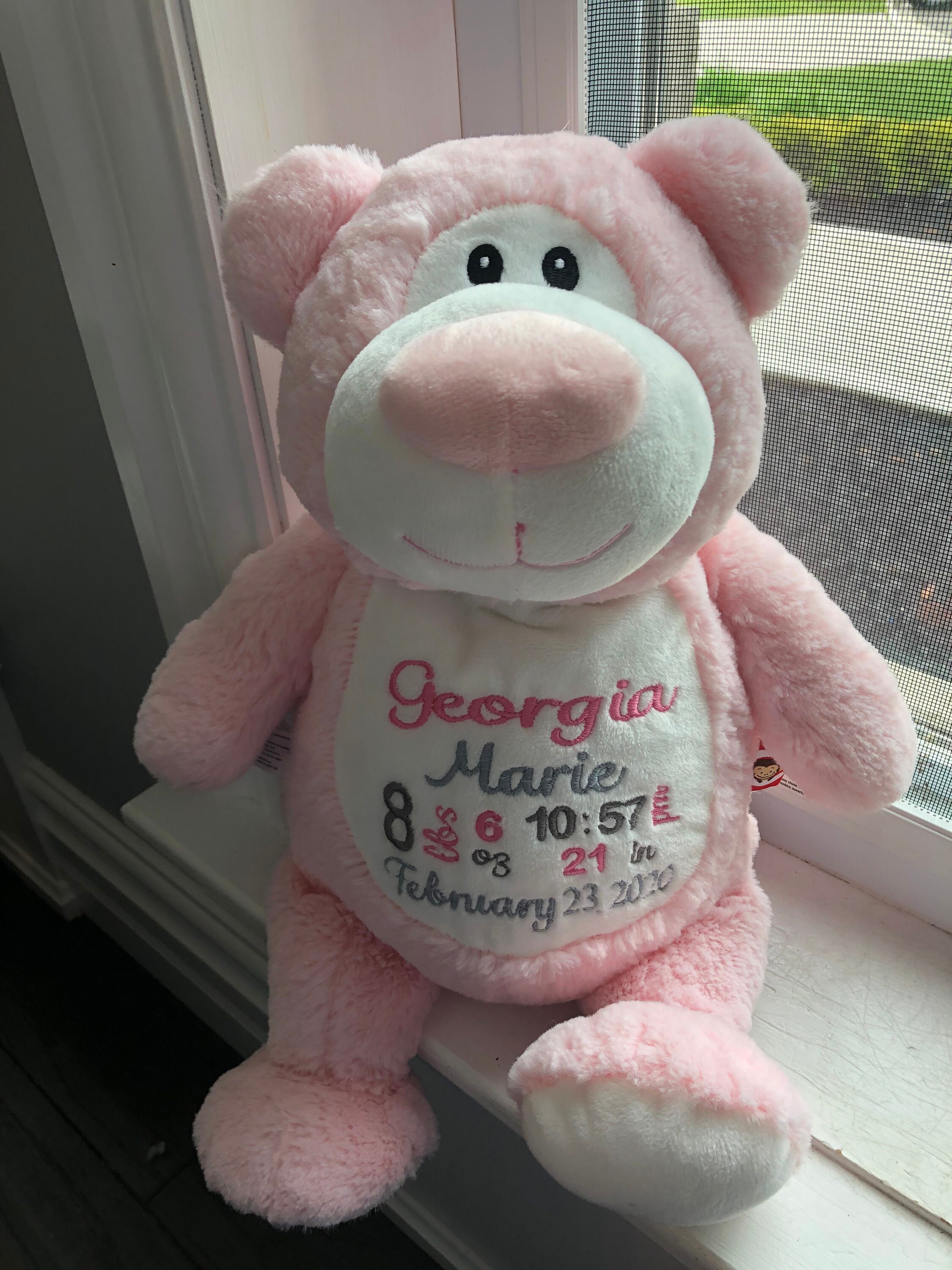 Personalized Bear Custom Birth Stats Teddy Bear Rainbow Baby | Etsy