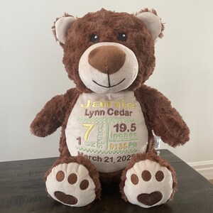 Personalized Bear, Custom Birth Stats Teddy Bear, Rainbow Baby Gift ...