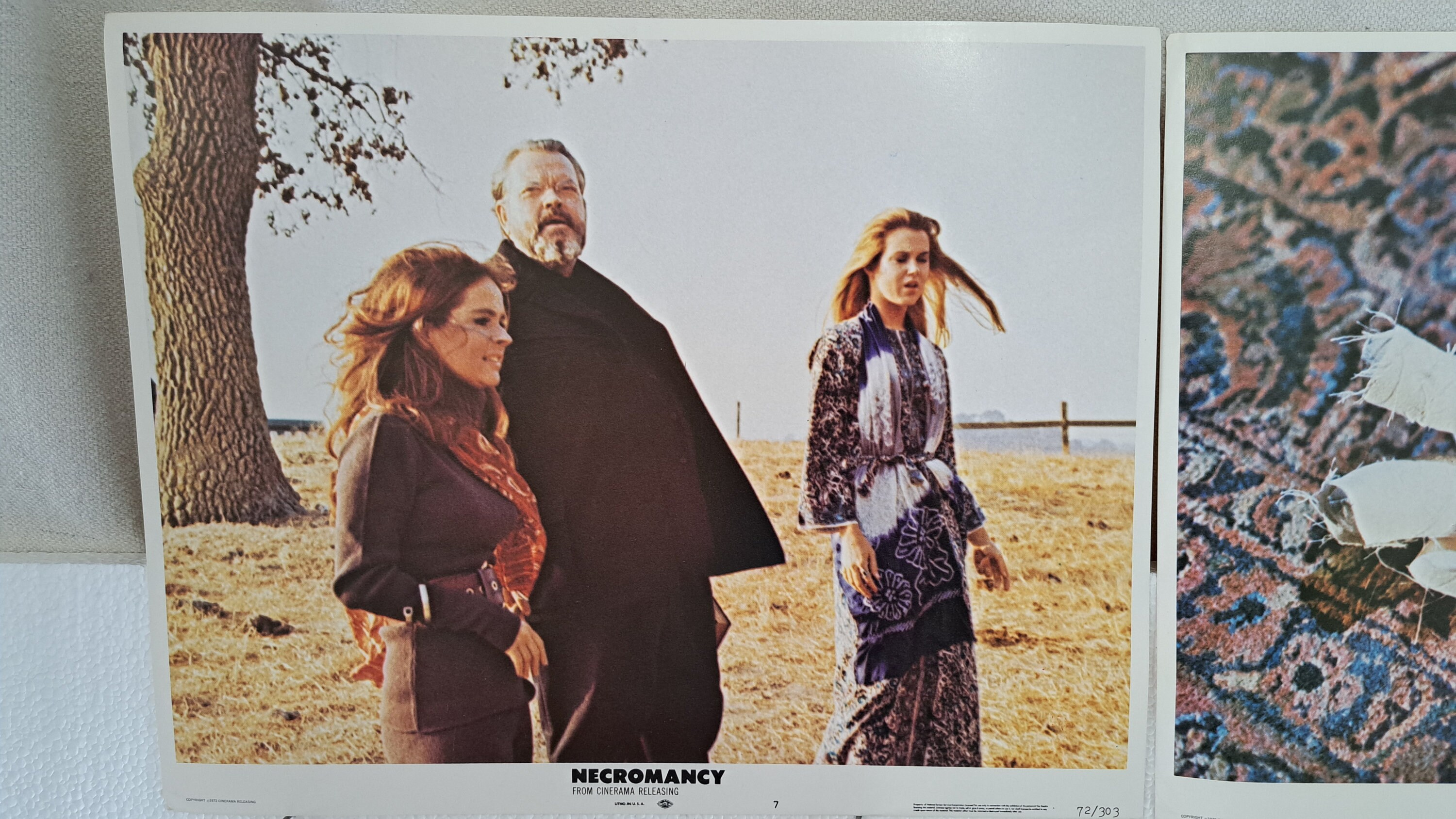 6 Original NSS Necromancy Movie Lobby Scene Posters - Etsy