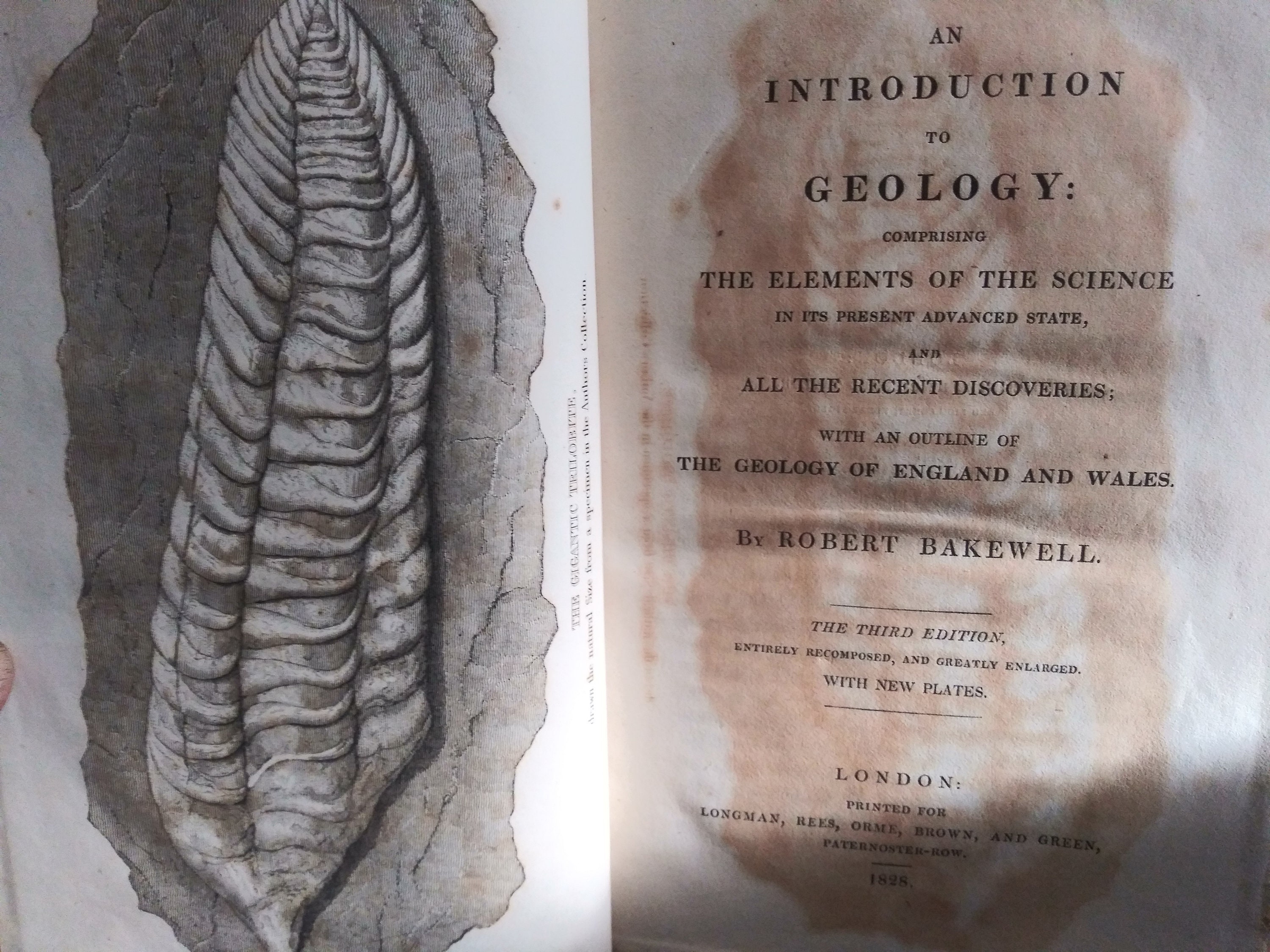 1830 Introduction to Geology Comprising the Elements of the Science ...