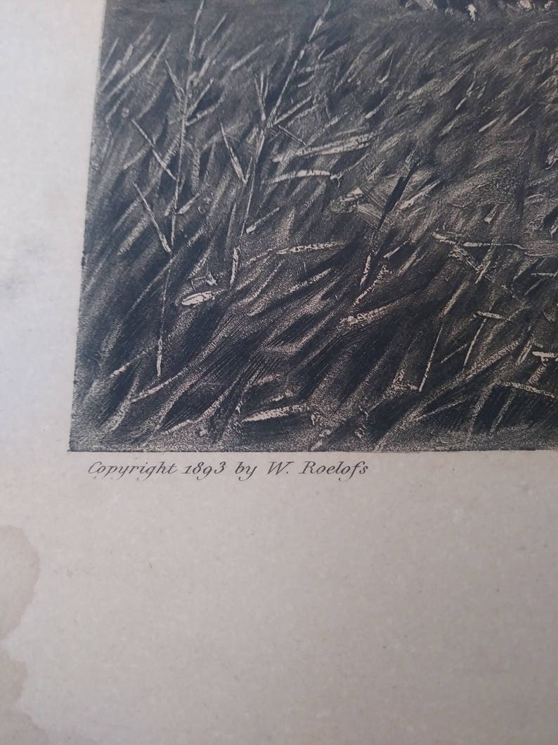 1893 W. Roelofs Mills Near Rotterdam Lithograph - Etsy