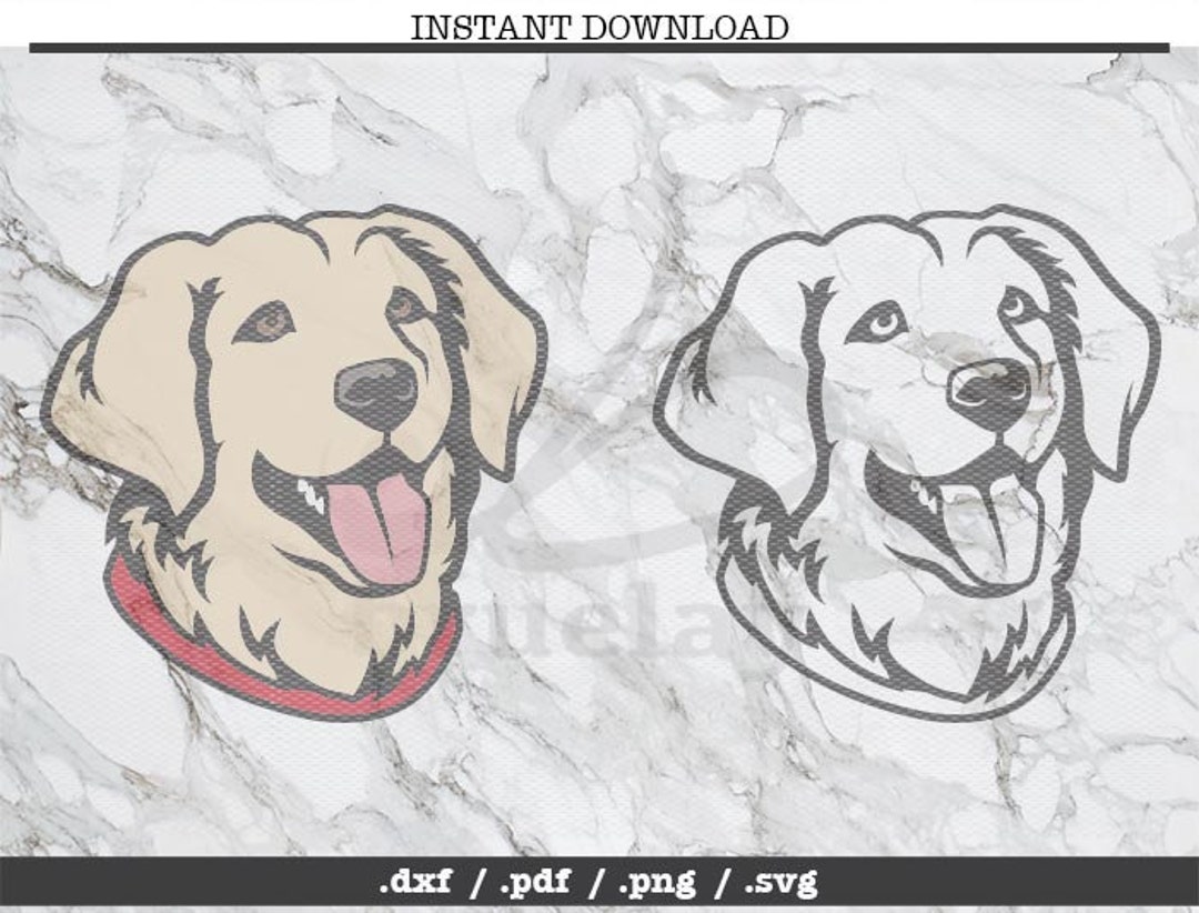 Labrador Retriever Cut File,svg, DXF, PNG, Cricut, Silhouette,cutting ...