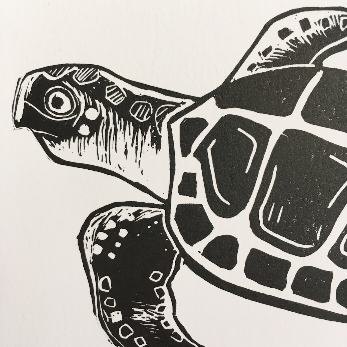 Turtle Print. Lino Print Sea Turtle. Loggerhead Turtle Art. | Etsy
