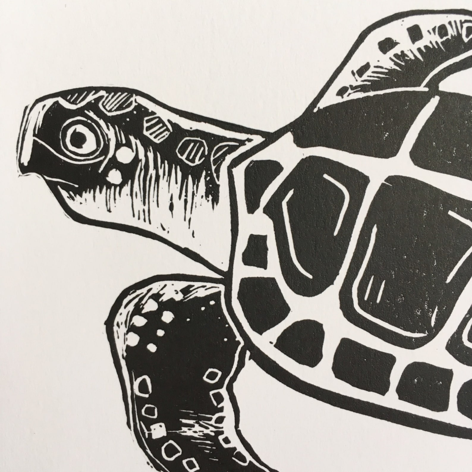Sea Turtle Lino Print A5 Black and White Linocut Ocean Life Art Marine ...
