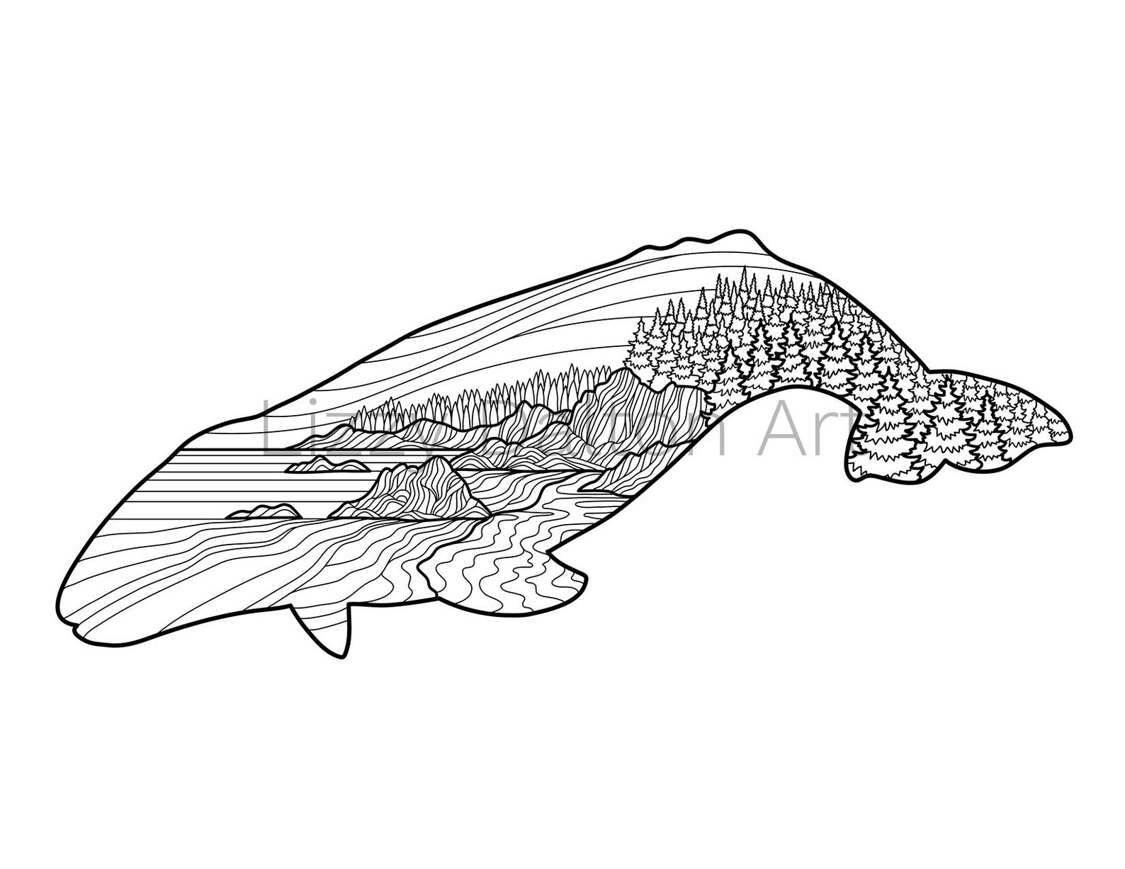 Pacific Northwest Whale Coloring Page Digital Download - Etsy