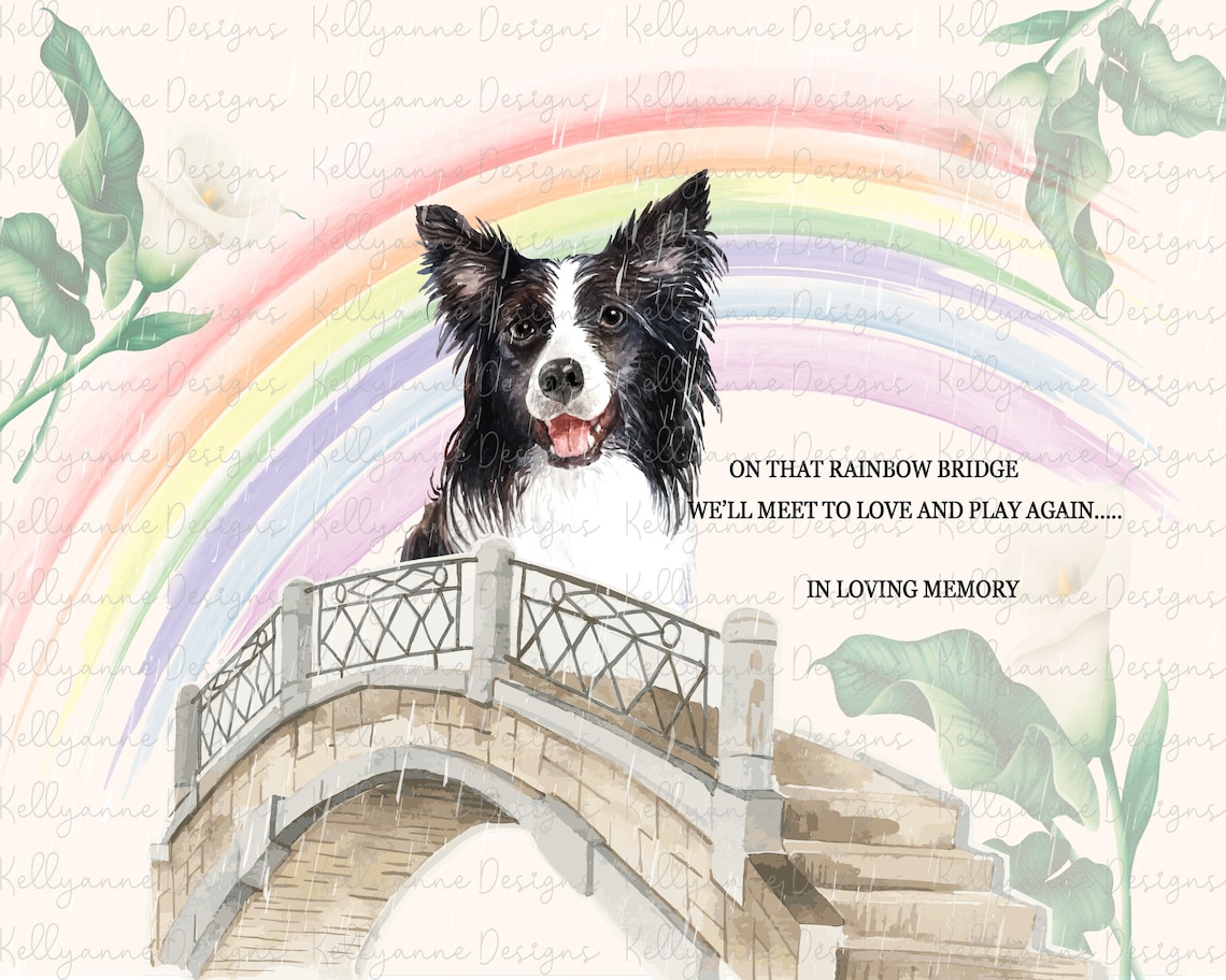 Border Collie Dog Memorial Rainbow Bridge Personalised Rock | Etsy UK