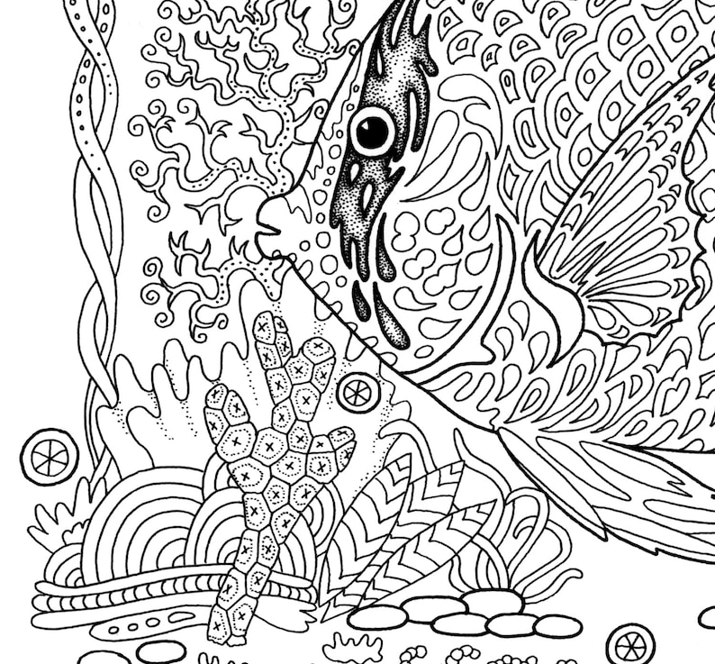 Angelfish Colouring Page - Etsy