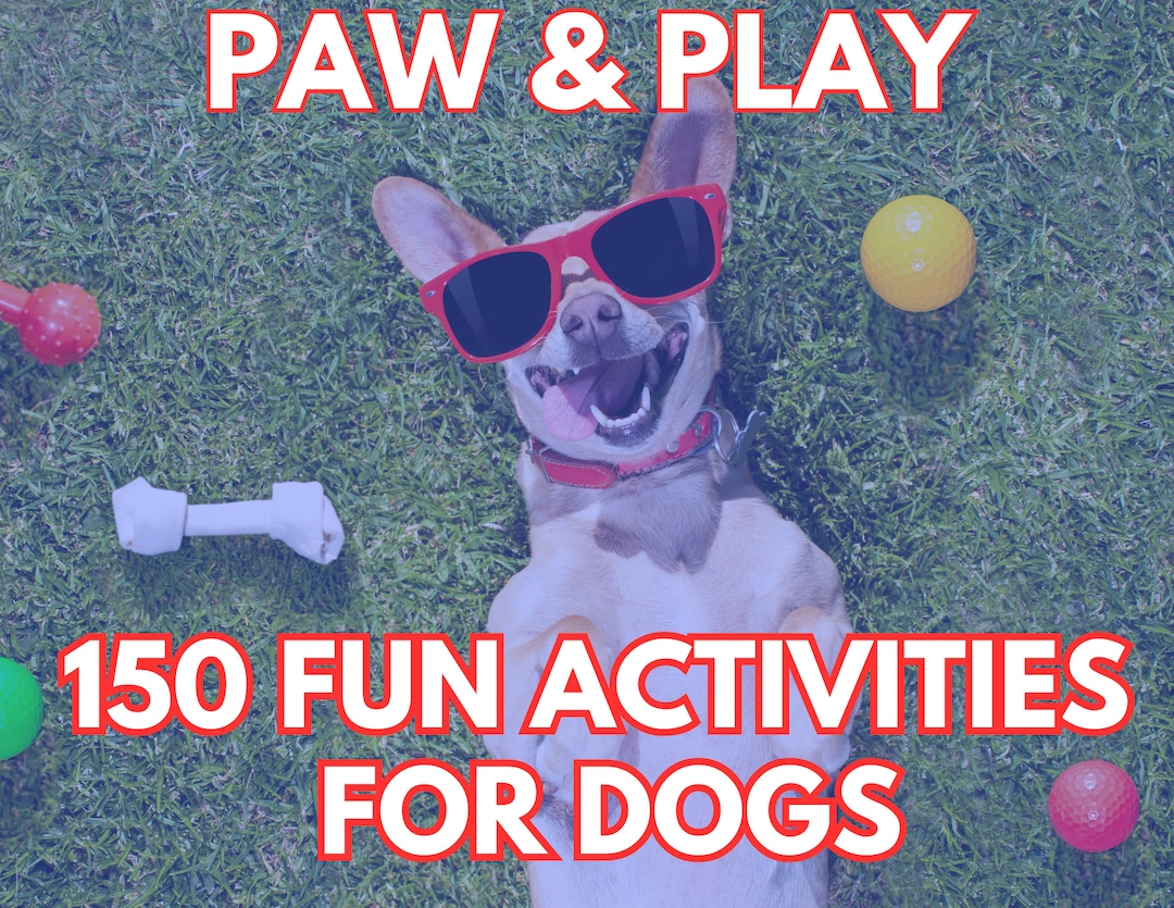 Dog Activity Guide Pet Ideas Activities Animals Owner Trainer DIY ...