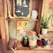 Miniature Mouse Picture, Garden Shed Diorama Cute, Gift for Her ...