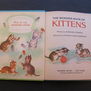 The Wonder Book of KITTENS Vtg Wonder Books 1963 Hb Barbara Waring Cats ...