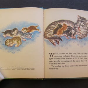The Wonder Book of KITTENS Vtg Wonder Books 1963 Hb Barbara Waring Cats ...