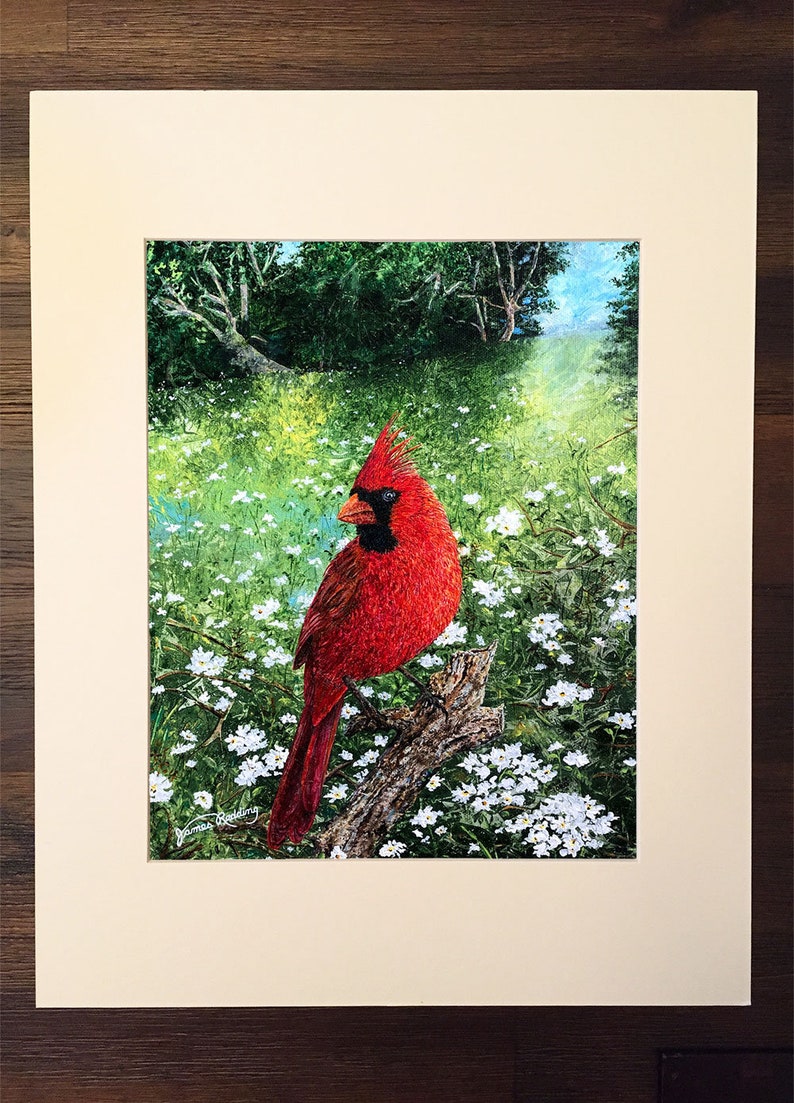 Cardinal Art Print - Red Cardinal Painting - Bird Art Print - Spring ...