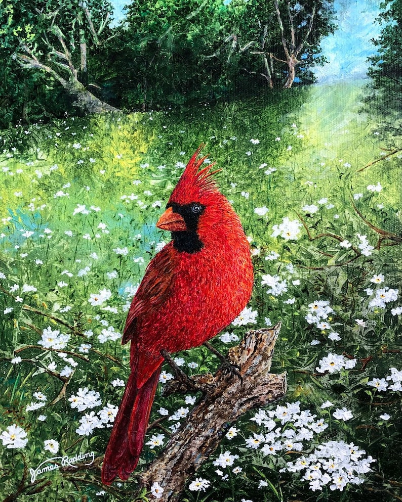 Cardinal Art Print - Red Cardinal Painting - Bird Art Print - Spring ...