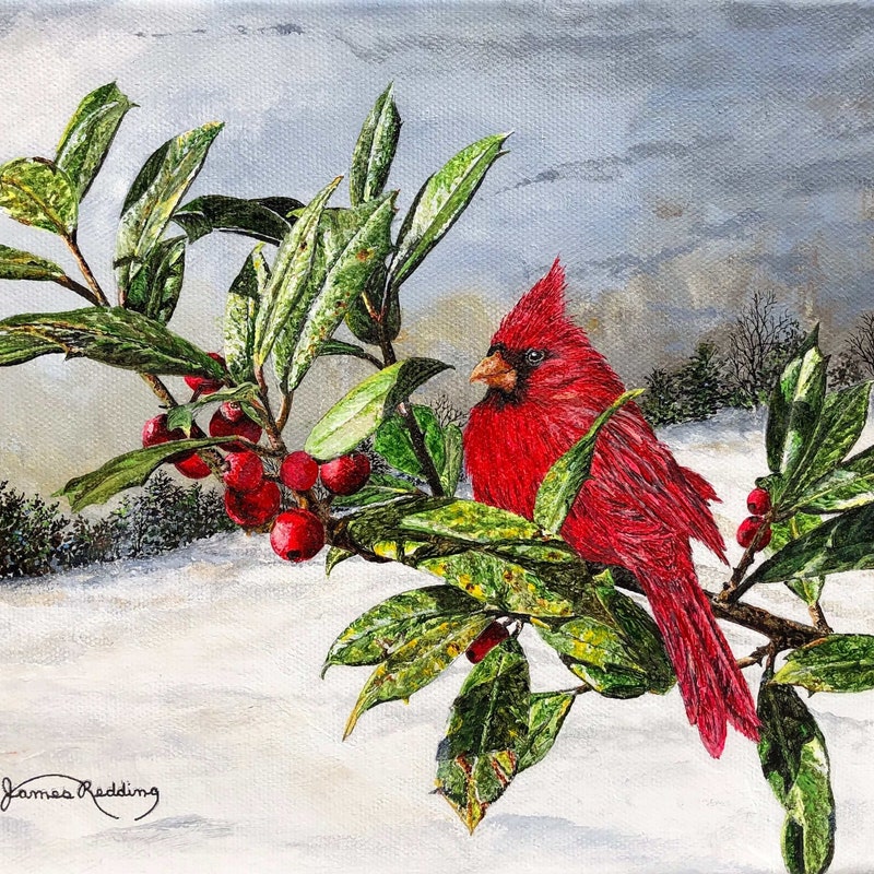 Cardinal Bird Print - Etsy