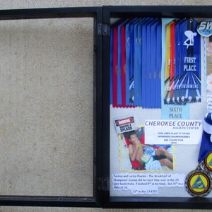 Case for Ribbon Display, Swim Ribbon Display, Athletic Ribbon Display ...