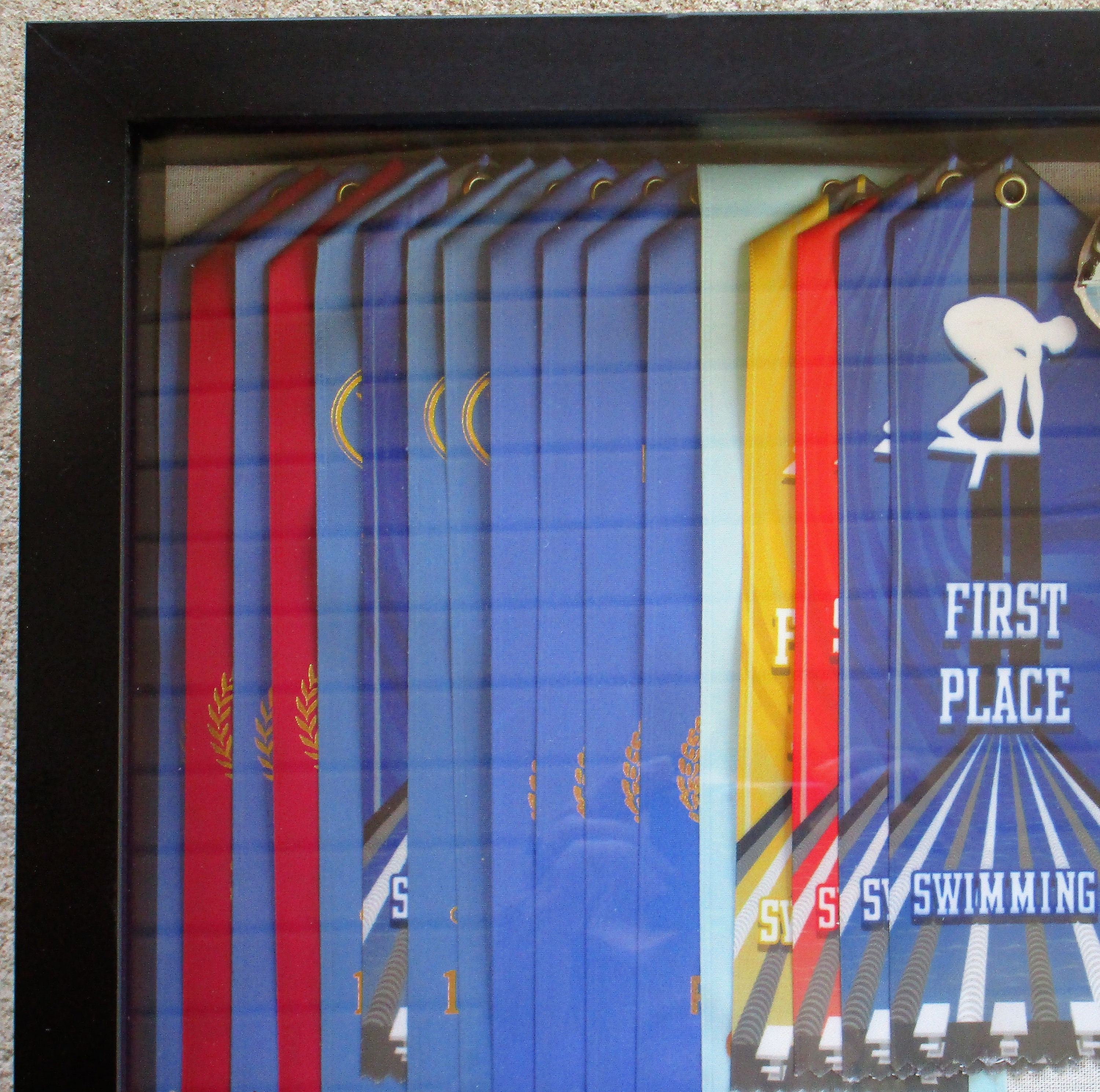Case for Ribbon Display, Swim Ribbon Display, Athletic Ribbon Display ...