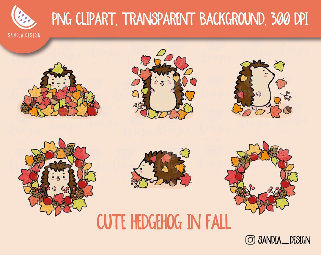 Cute Hedgehog Clipart. Fallset. Autumn Set. Personal and Commercial Use ...