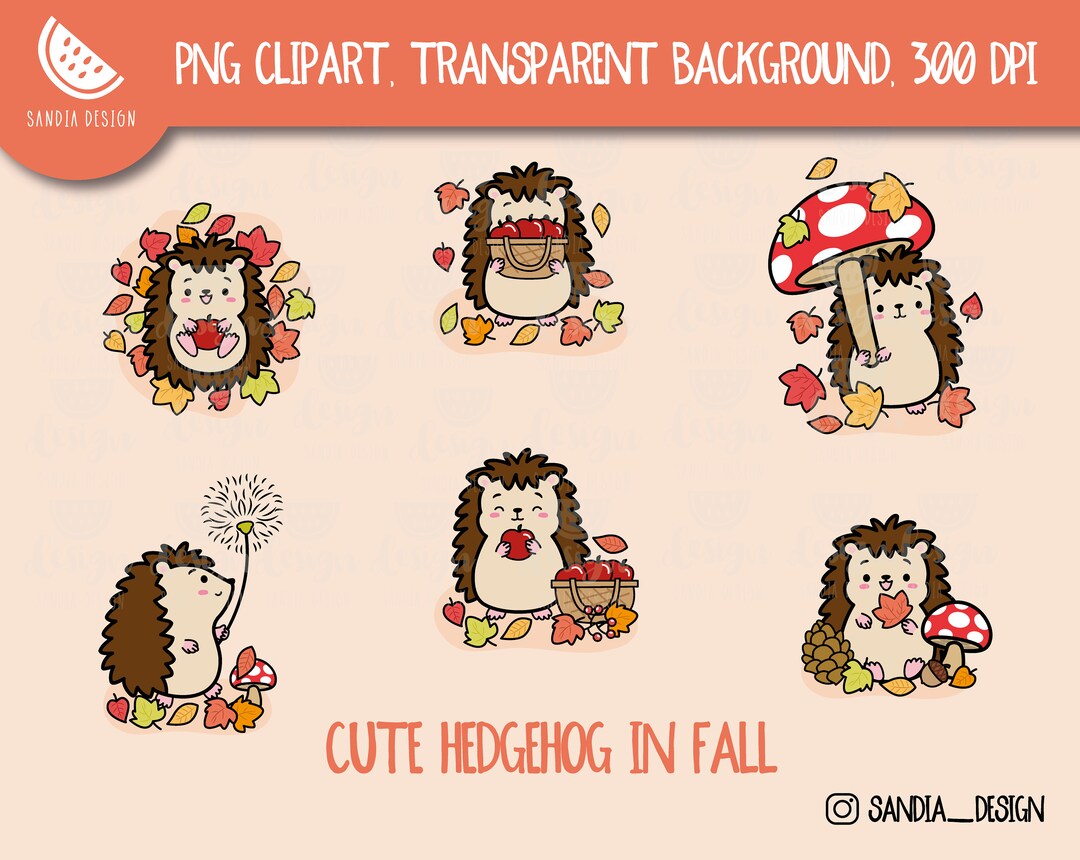Cute Hedgehog Clipart. Set 2, Fall Set. Autumn Set. Personal and ...