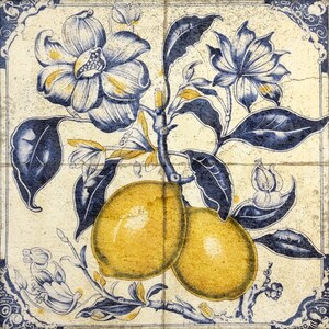 Mi Alma Lemon Peel and Stick Tile Lemon Wall Decor Peel and Stick Lemon ...