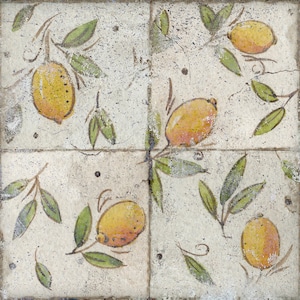 LEMON Transform Your Kitchen With DIY Peel and Stick Backsplash- the ...
