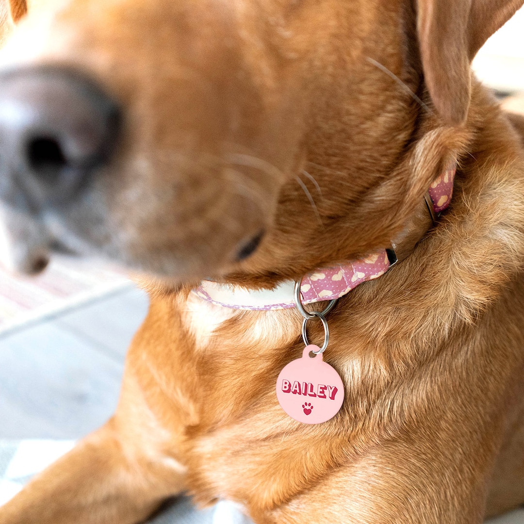 Pastel Pet ID Tag, Personalised Dog Tag for Collar, Name Tag for Pet ...