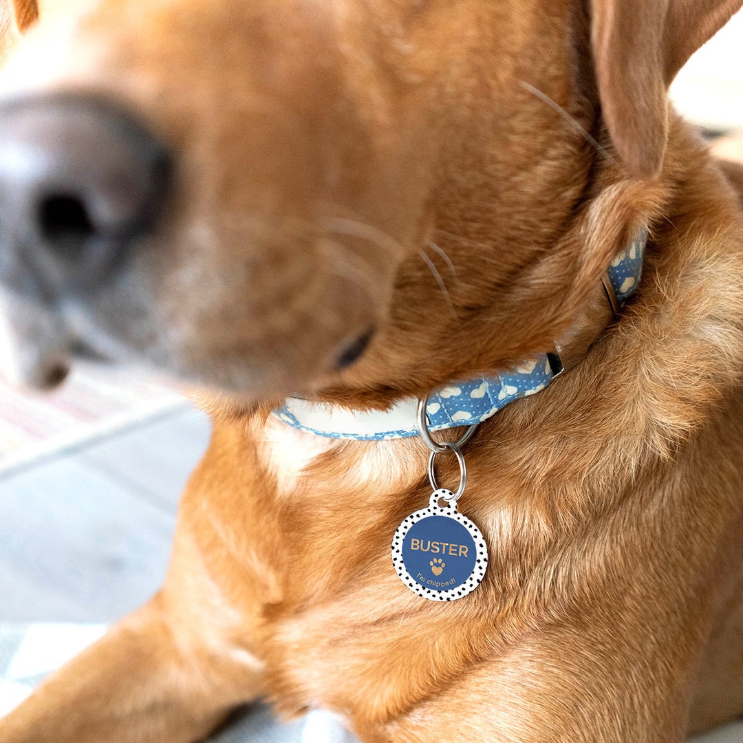 Pet ID Tag, Personalised Dog Tag for Collar, Personalised Dog Tag - Etsy UK