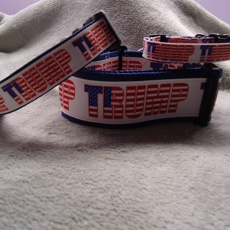 Patriotic Dog Collar - Etsy