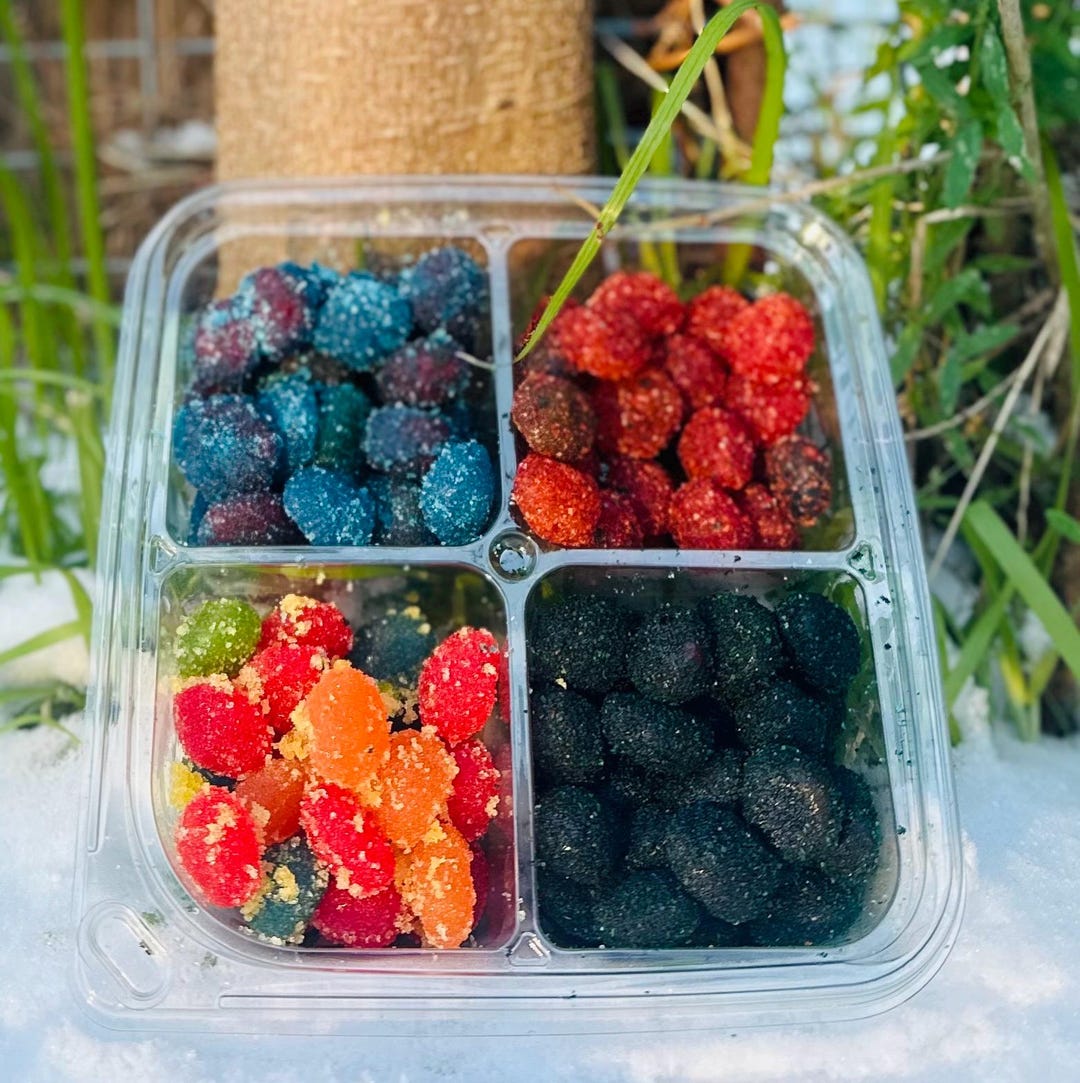 Ultimate Chamoy Gushers Mix – 4 Flavor Pack W/ Pickle, Sour Watermelon ...