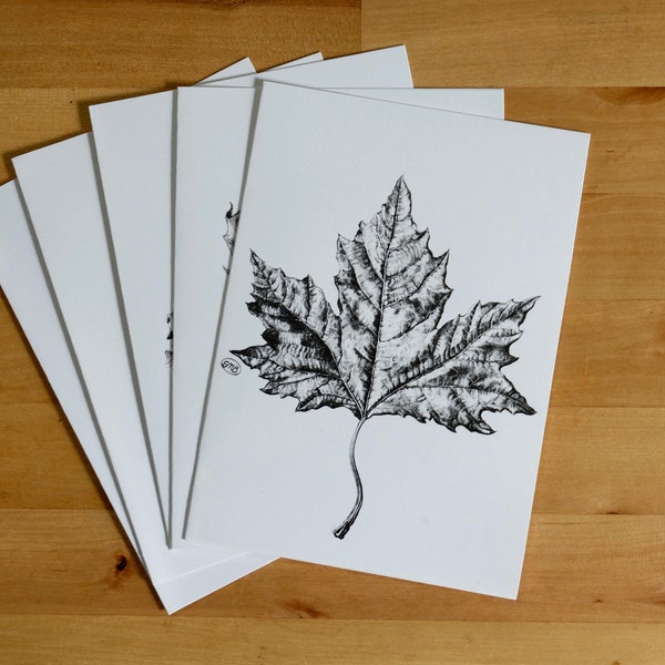 Maple Leaf Greeting Card - Etsy