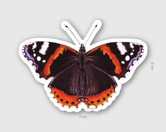 Admiral Butterfly | Etsy