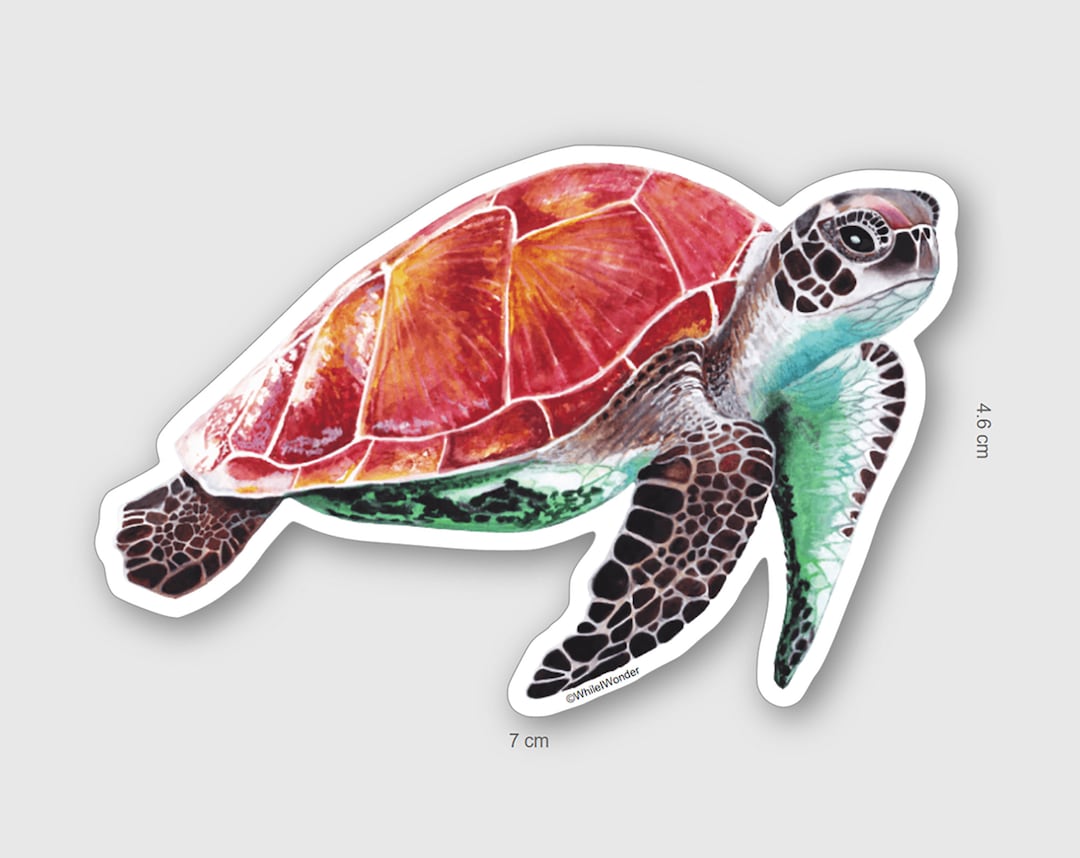 Turtle Sticker Sea Turtle Sticker Cute Vinyl Sticker Laptop - Etsy