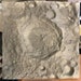 Daedalus Crater, the Moon, 3D Printed Map, 3D Topo Map, 3D Print - Etsy