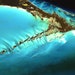 The Bahamas Exuma Islands Satellite Imagery, Aerial Map, Map Art ...