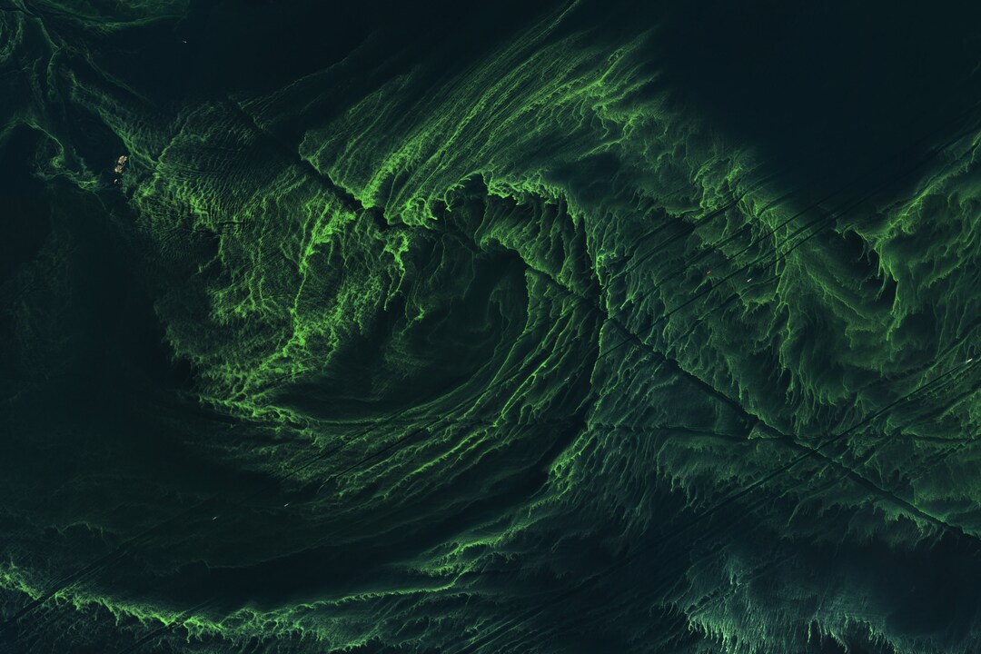 Baltic Sea Phytoplankton Vortex, Aerial Map, Map Art, Satellite Image ...