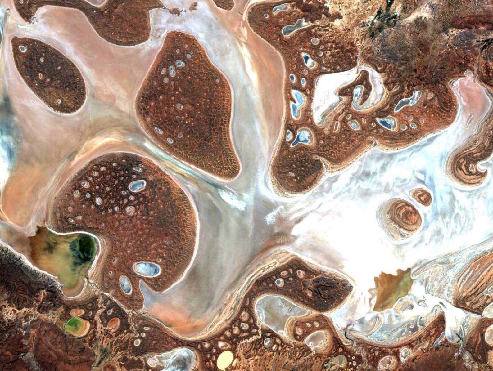 Lake Carnegie, Western Australia, Satellite Image, Print, Vibrant ...