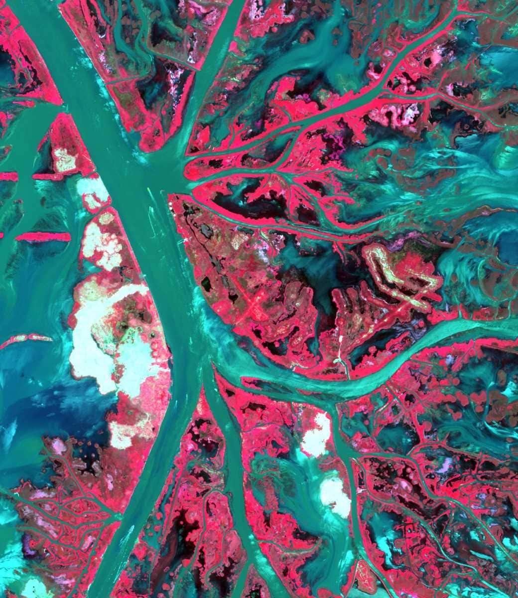 Mississippi River Delta, Satellite Image, Map, Earth, Art Print, Print ...