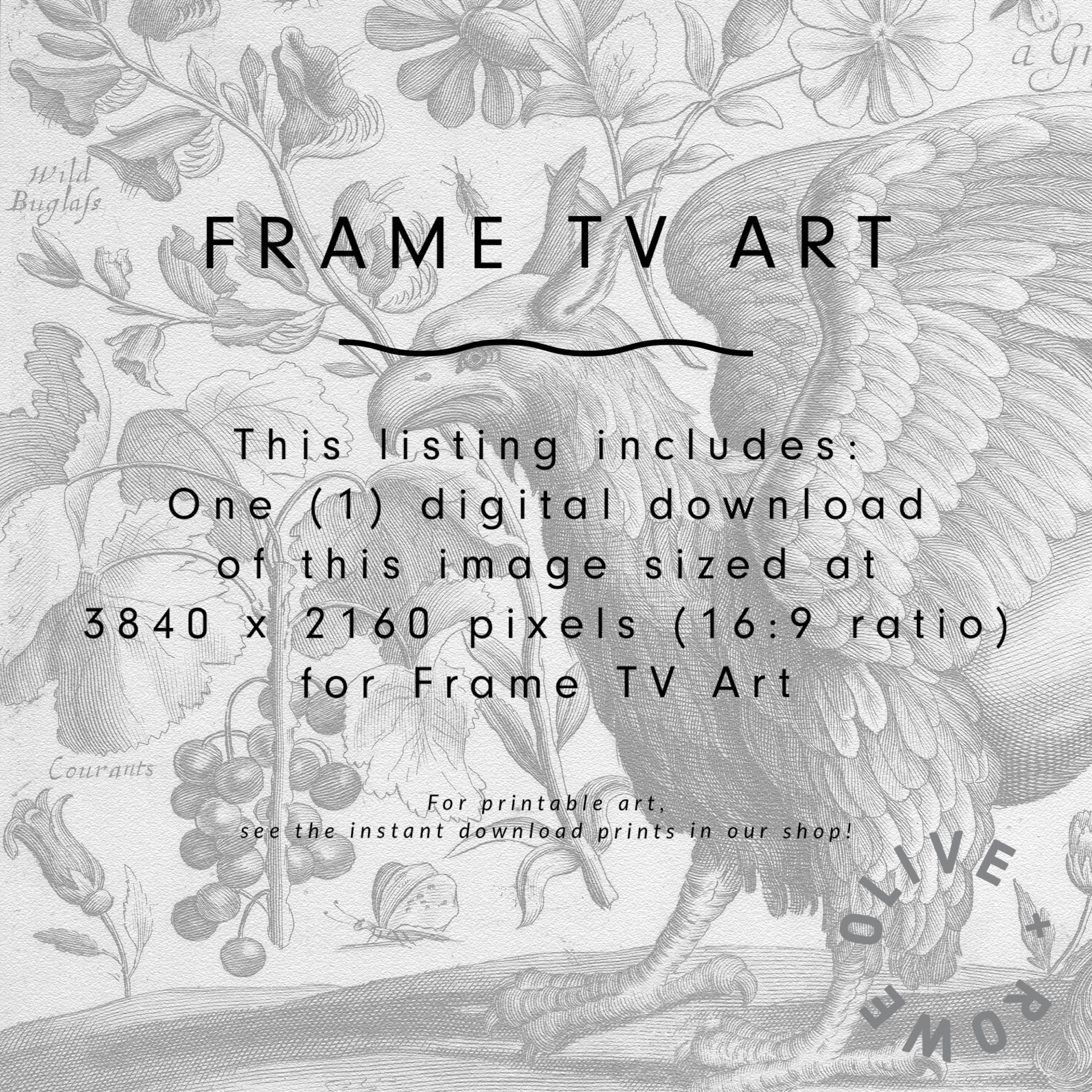 Vintage Halloween Griffin Instant Download Digital Frame TV Art 3840 X ...