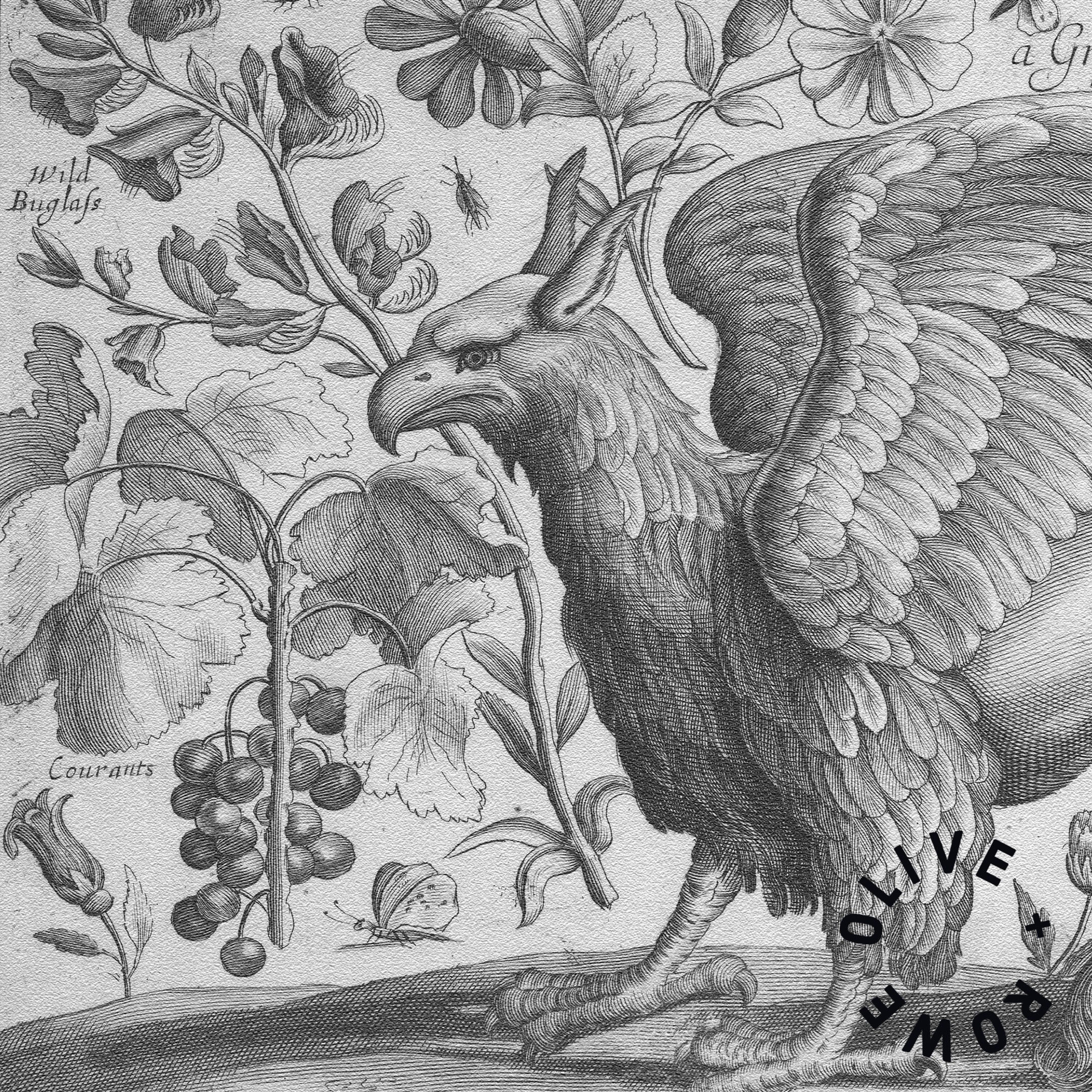 Vintage Halloween Griffin Instant Download Digital Frame TV Art 3840 X ...