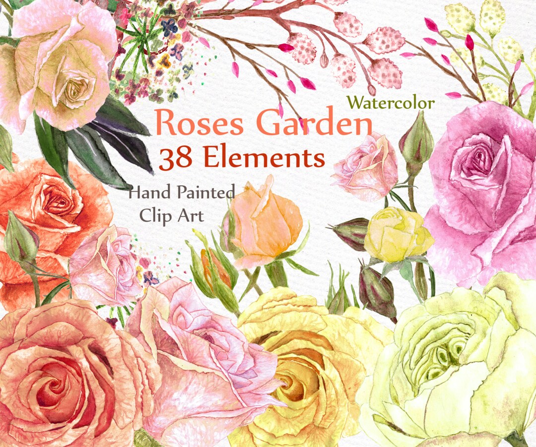 Wedding Watercolor Flowers: roses Clipart Floral - Etsy