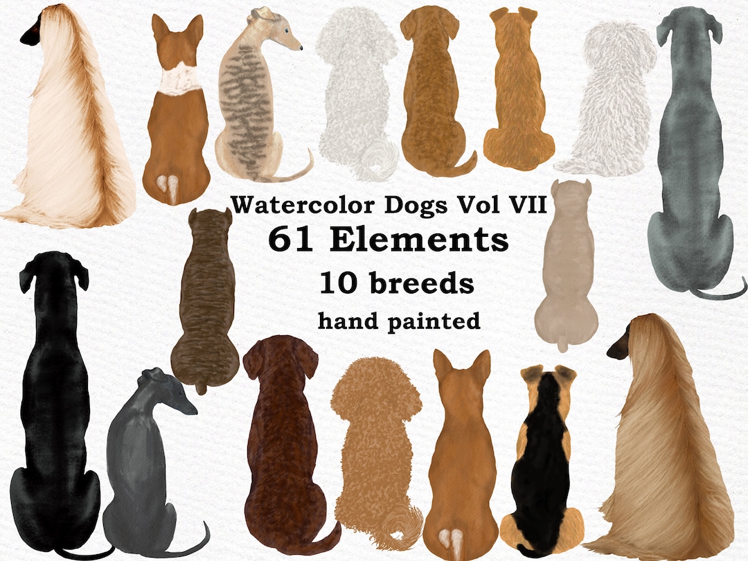 Dog Clipart: "watercolor Dogs" Dog Breeds Pet Clipart Puppies Clipart ...