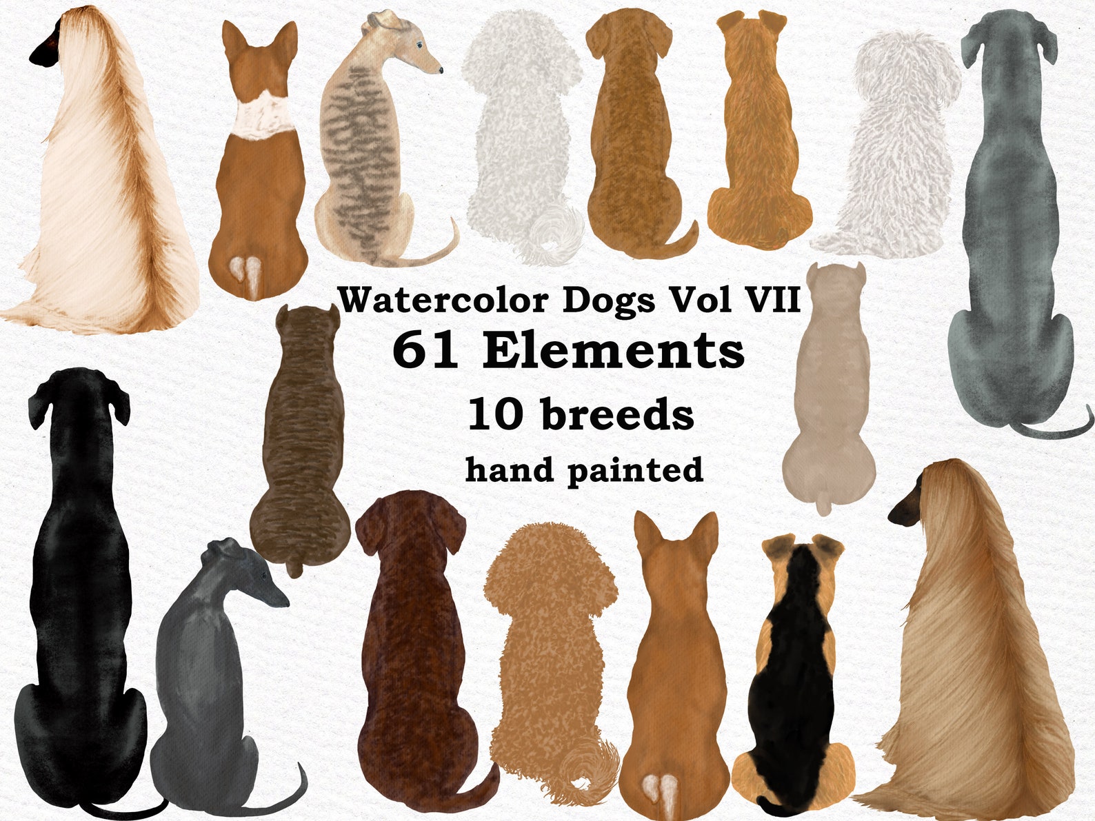 Dog Clipart: watercolor Dogs Dog Breeds Pet - Etsy
