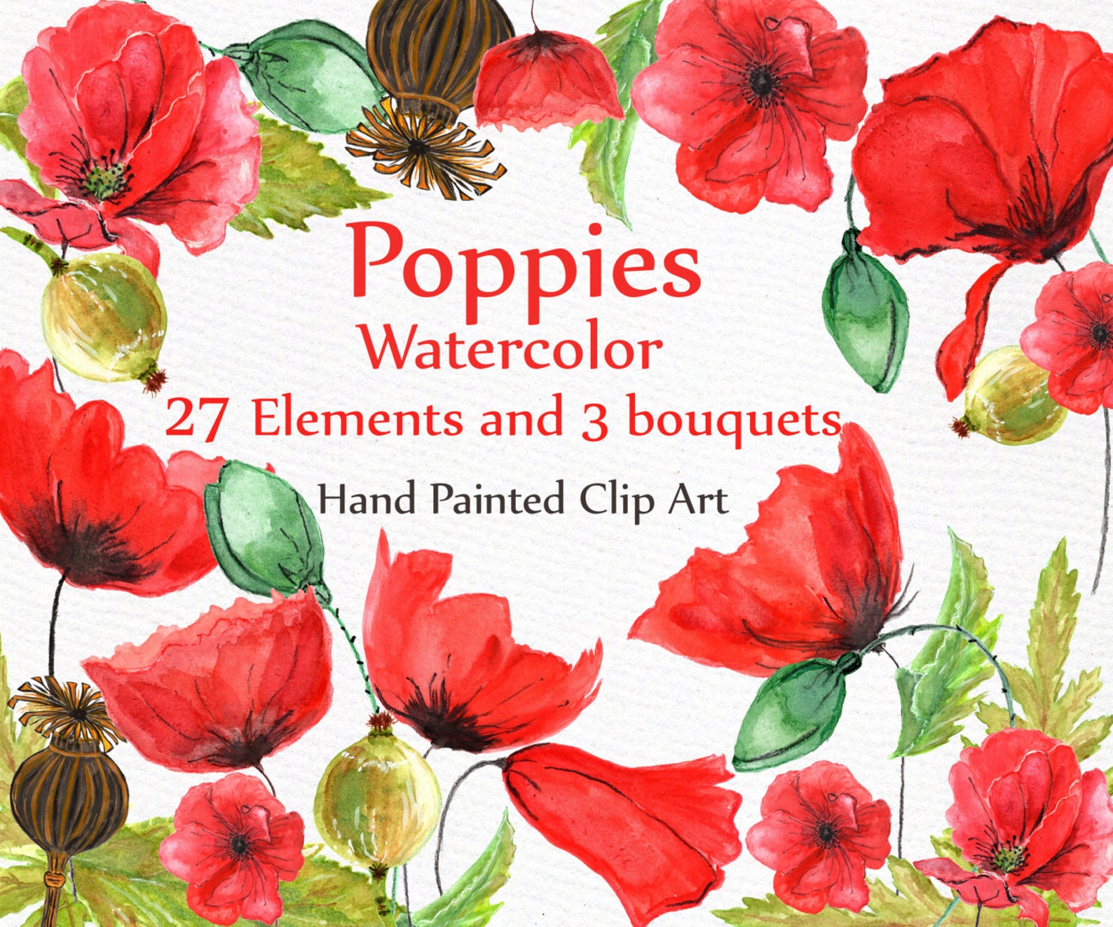 Watercolor Poppies Clipart: poppies CLIP Art - Etsy