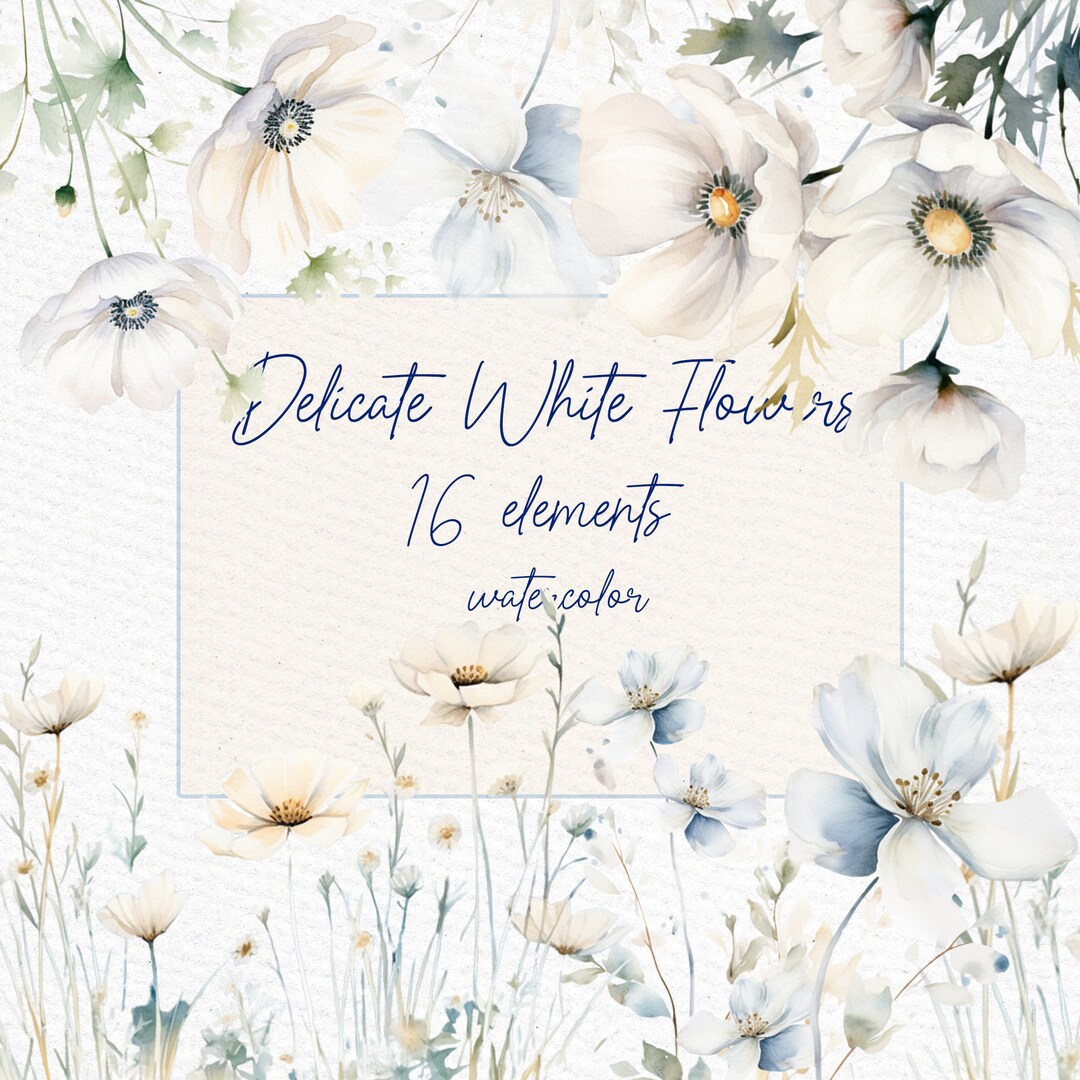 Watercolor White Flowers Clipart: Floral Borders & Wreath (digital ...