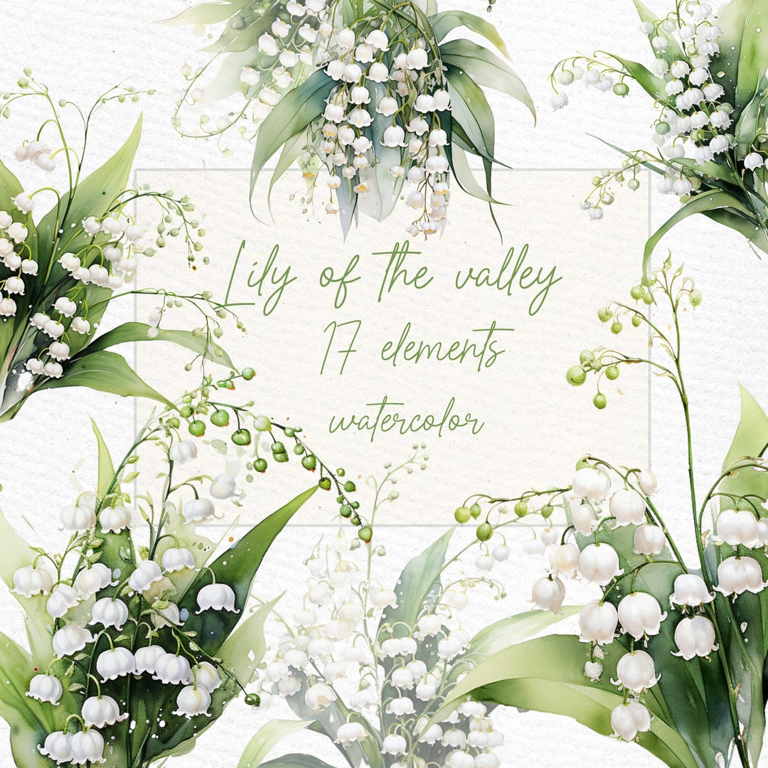 Lily of the Valley Clipart: "spring FLOWERS Clipart" Watercolor Lily of ...